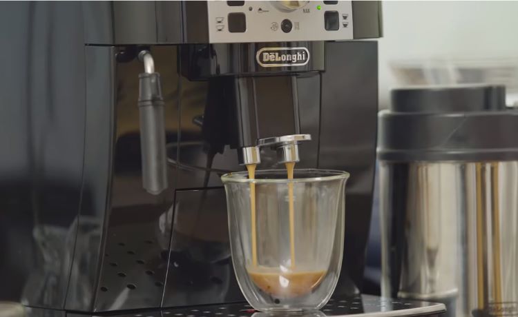 Delonghi Magnifica S vs XS: What #1 You Should Choose?